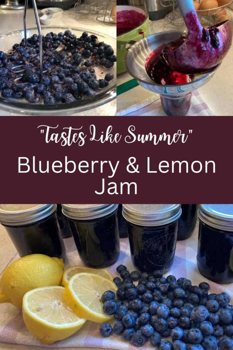 "Tastes Like Summer" Blueberry & Lemon Jam Recipe - Unconventionally ...